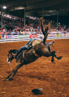 It’s Rodeo Time! - Ocala Style Magazine