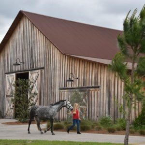 Silenced the Story of Ruby McCollum - Ocala Style