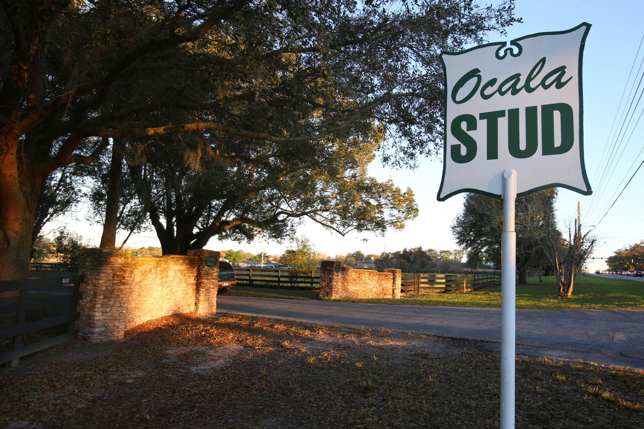 Bloodlines: The O'Farrells - Ocala Style Magazine