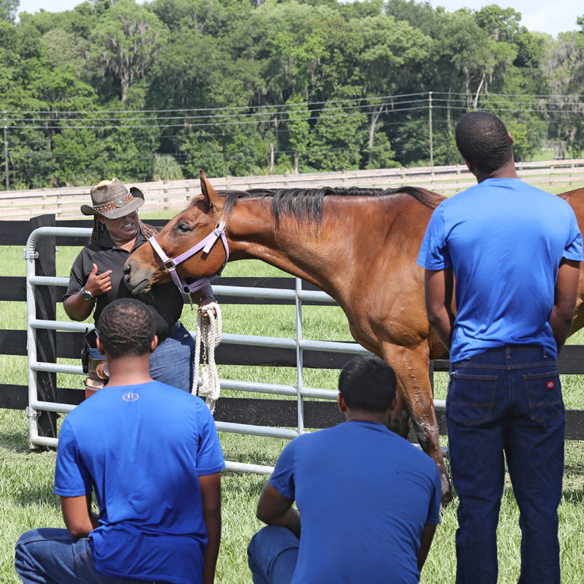Silenced the Story of Ruby McCollum - Ocala Style Magazine