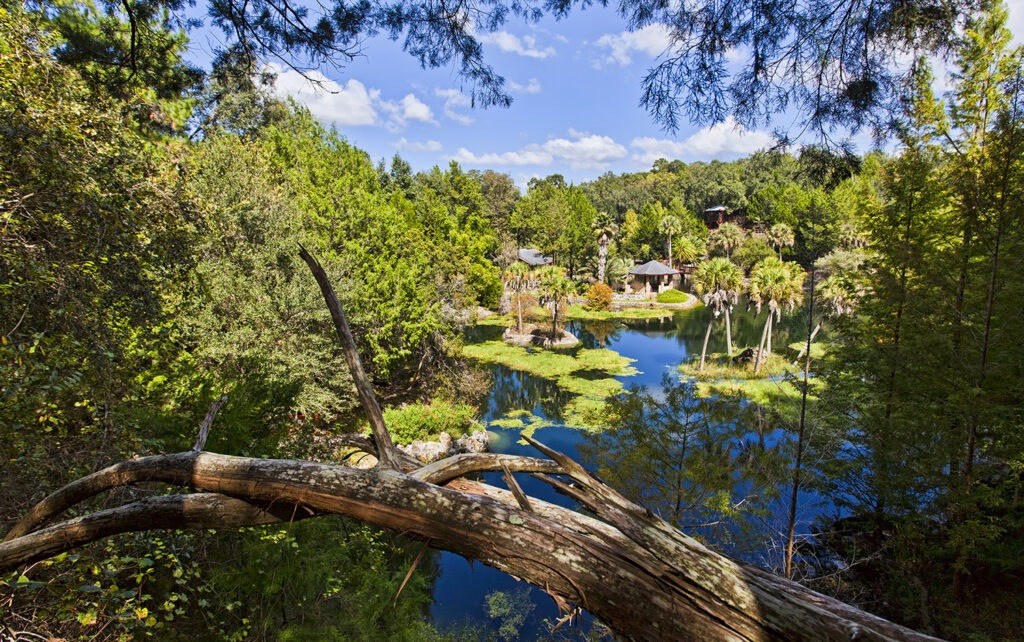 Florida’s Natural Paradise - Ocala Style Magazine