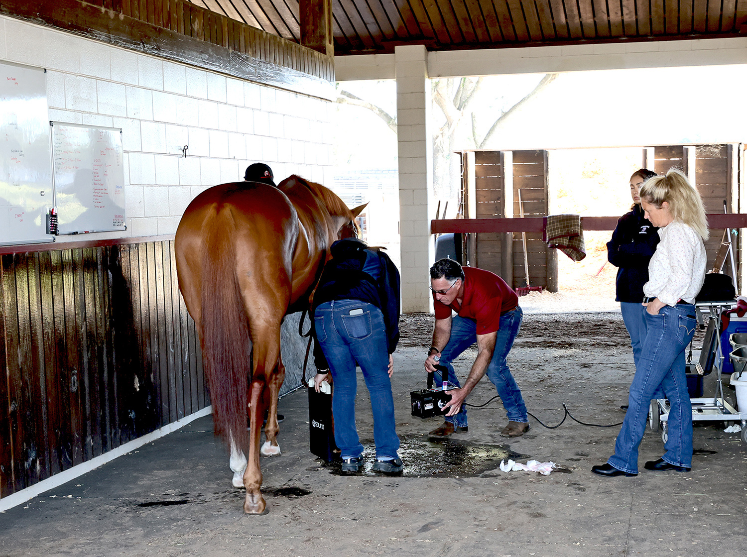 The Ringmaster - Ocala Style Magazine