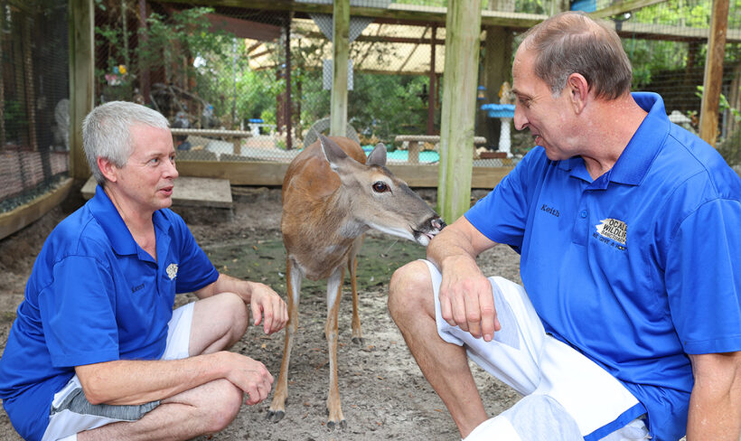 Animals Helping Others - Ocala Style Magazine