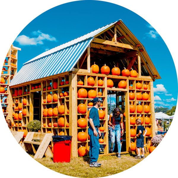 Fall Arts and Events Guide - Ocala Style Magazine