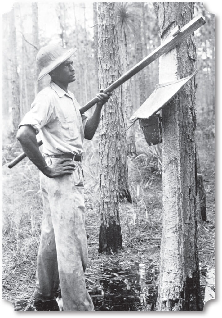 Turpentine Camps of Old Florida - Ocala Style Magazine