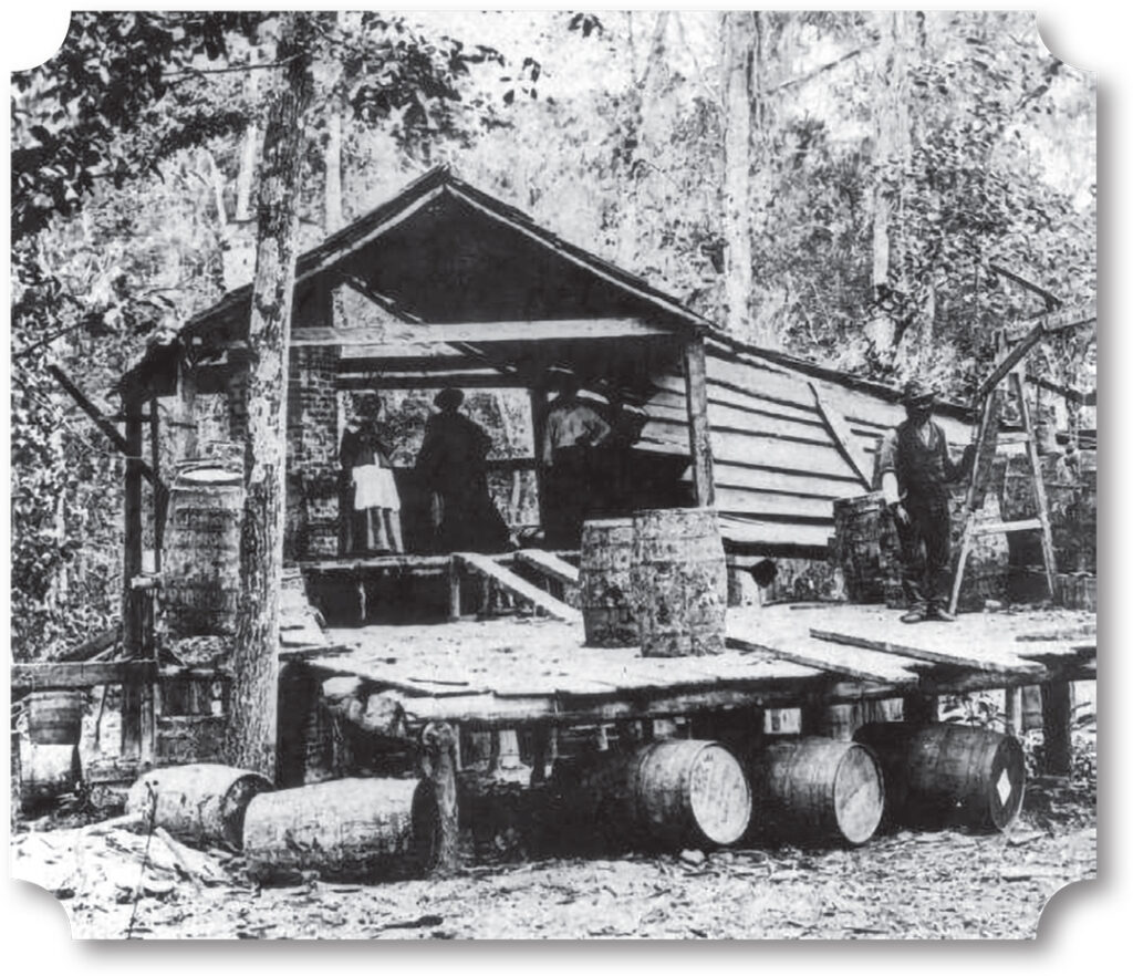Turpentine Camps of Old Florida - Ocala Style Magazine