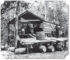 Turpentine Camps of Old Florida - Ocala Style Magazine