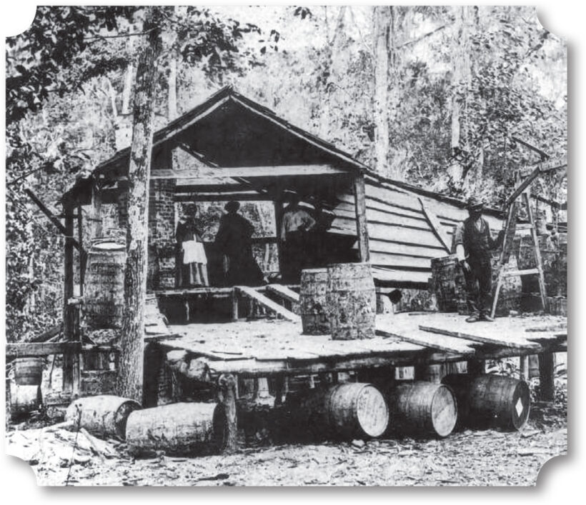 Turpentine Camps of Old Florida - Ocala Style Magazine